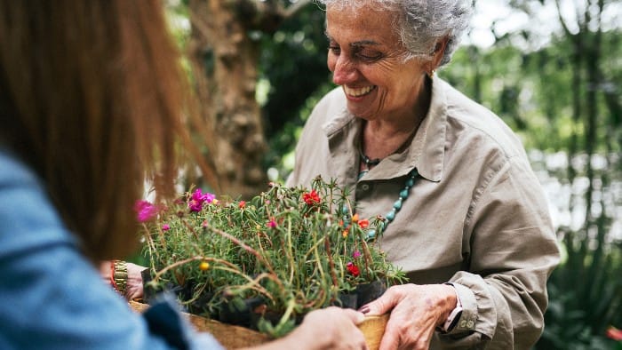 Environmental Impact | Philips