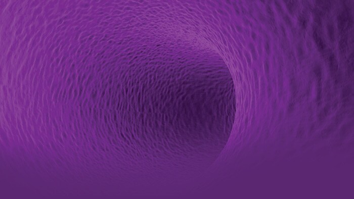 Venous IVUS - Intravascular Ultrasound | Philips