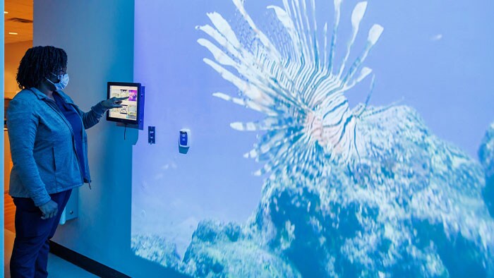 Calming pediatric X-ray imaging environment | Philips Healthcare