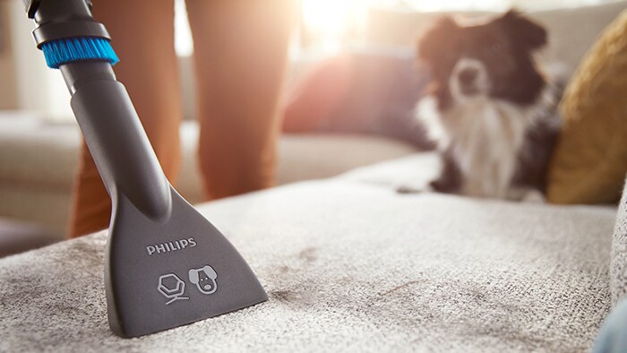 Как да почистите косми от домашни любимци с най-добра помощ | Philips ...