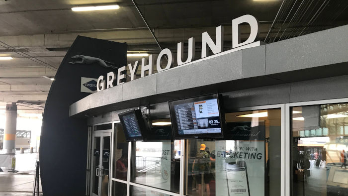 Greyhound | Philips