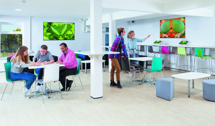 Digital Signage for Education | Philips