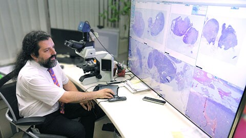 Philips successfully digitizes two pathology labs in Austria ...