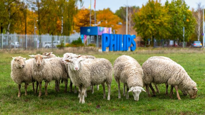 Natuurlijk kapitaal maakt het klimaatplaatje compleet | Philips